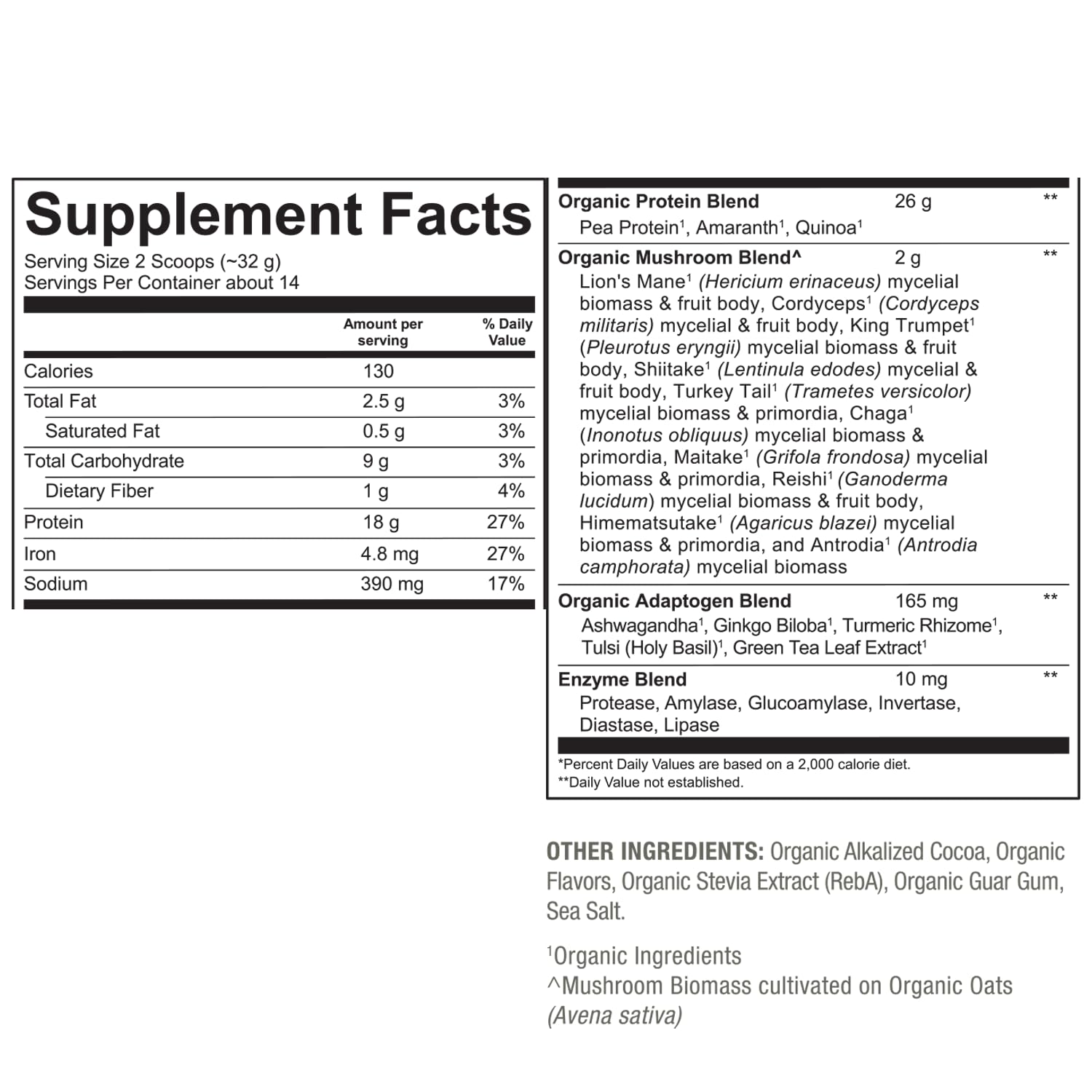 chocolate mushroom protein for smoothies