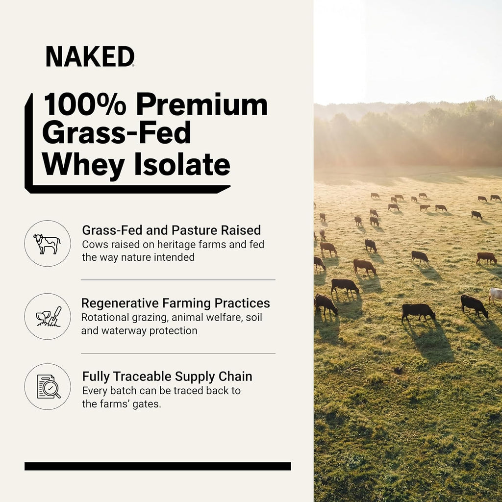 chocolate peanut butter protein powder