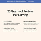 chocolate peanut butter whey protein powder