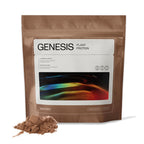 chocolate plant based protein powder