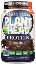 chocolate plant protein supplement