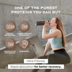 chocolate whey protein concentrate