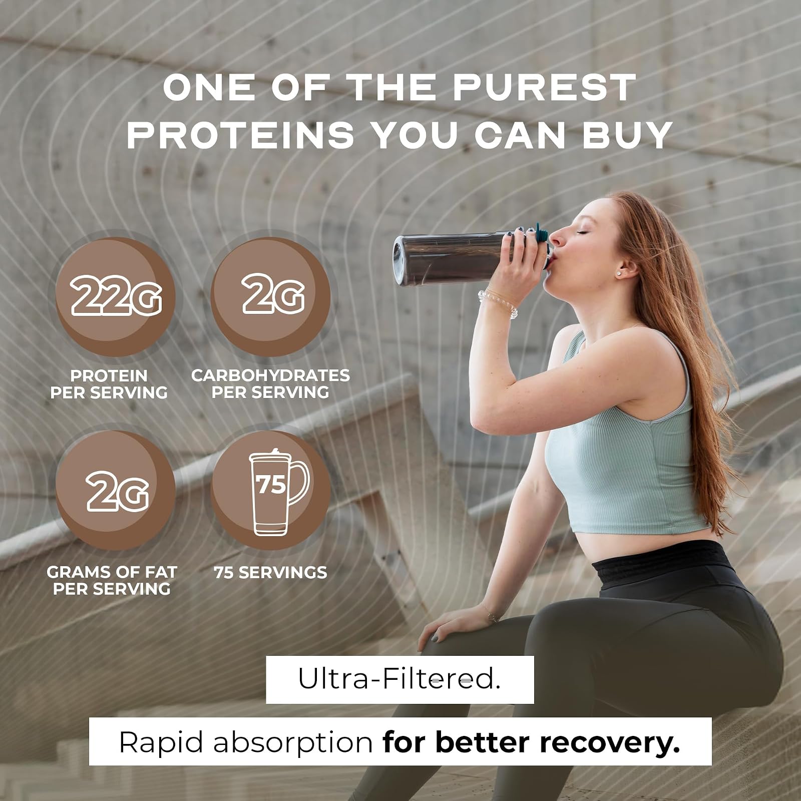 chocolate whey protein concentrate