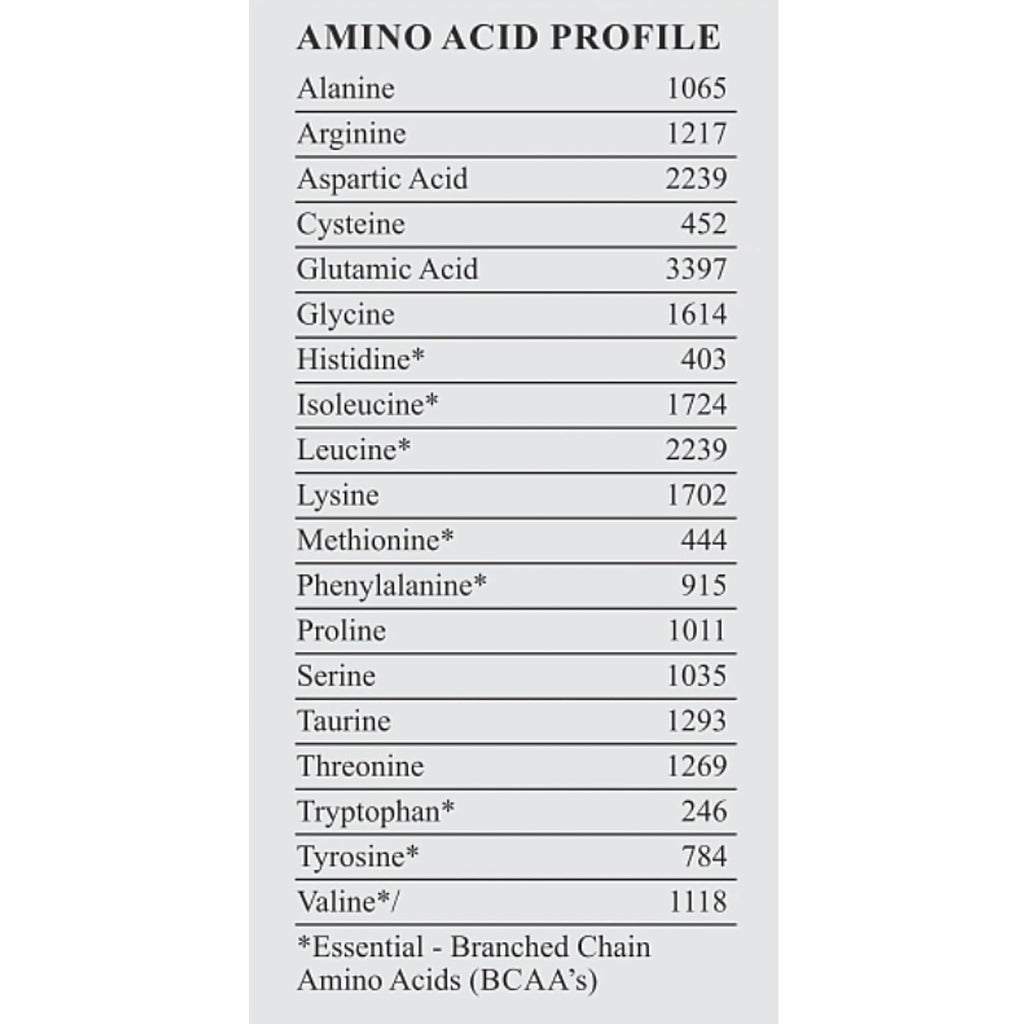 chocolate whey protein for muscle recovery