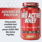chocolate whey protein for smoothies