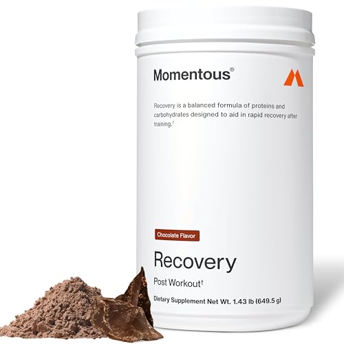 chocolate whey protein isolate