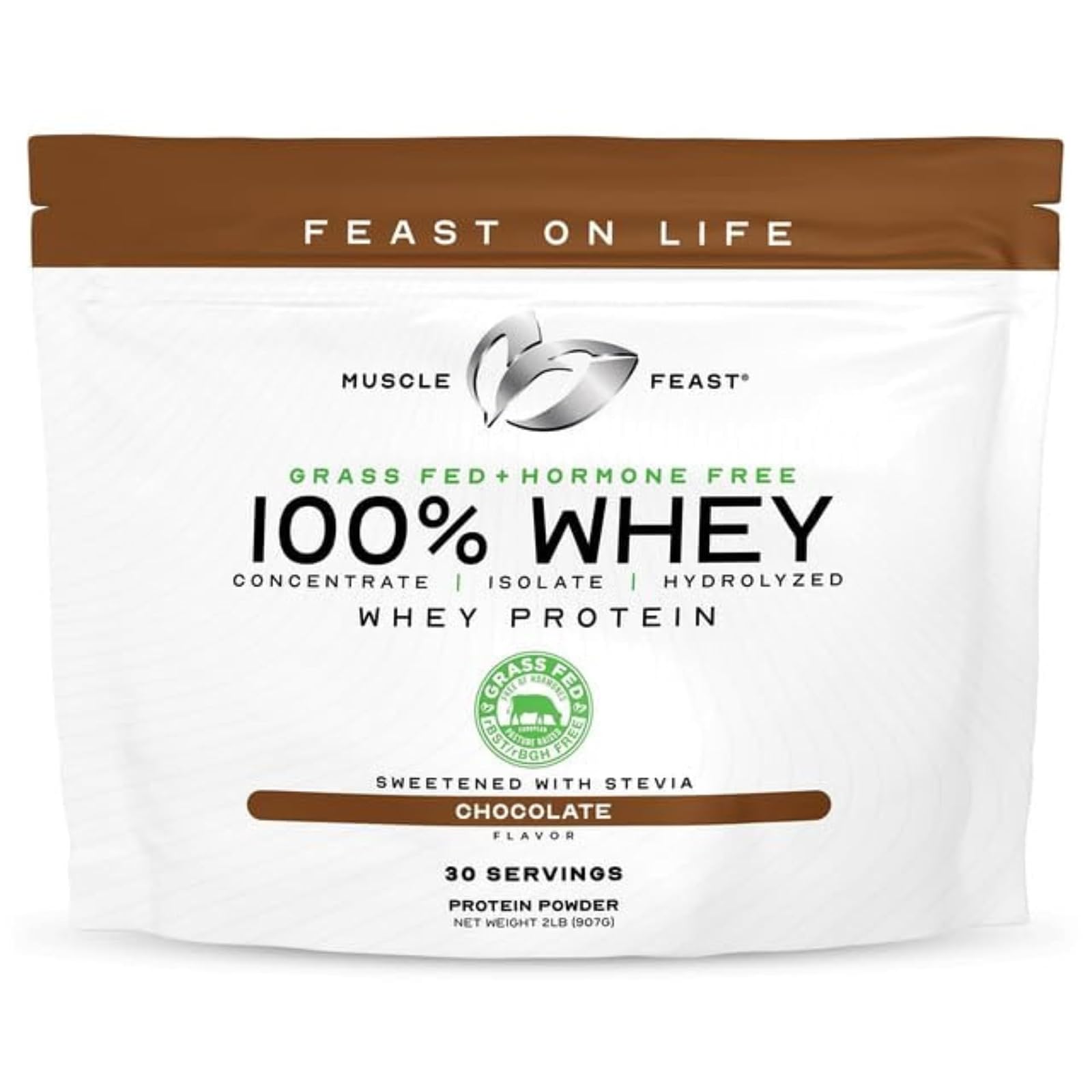 chocolate whey protein powder