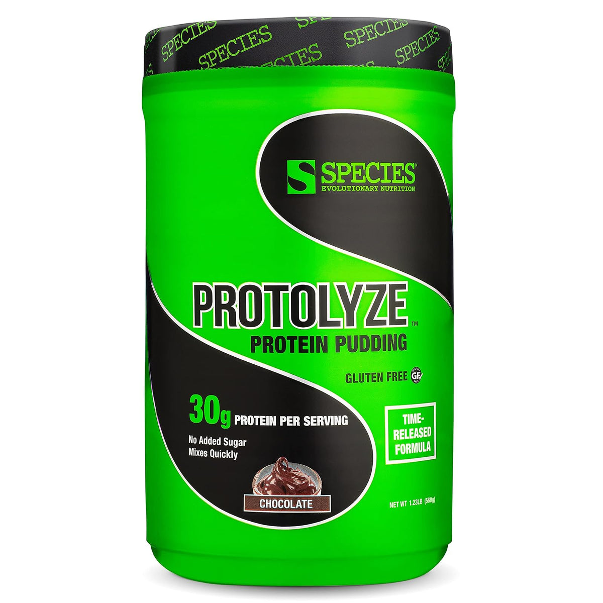 chocolate whey protein pudding dessert