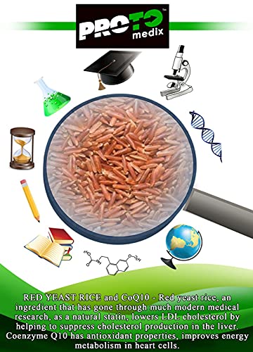 CholessQ herbal cholesterol support