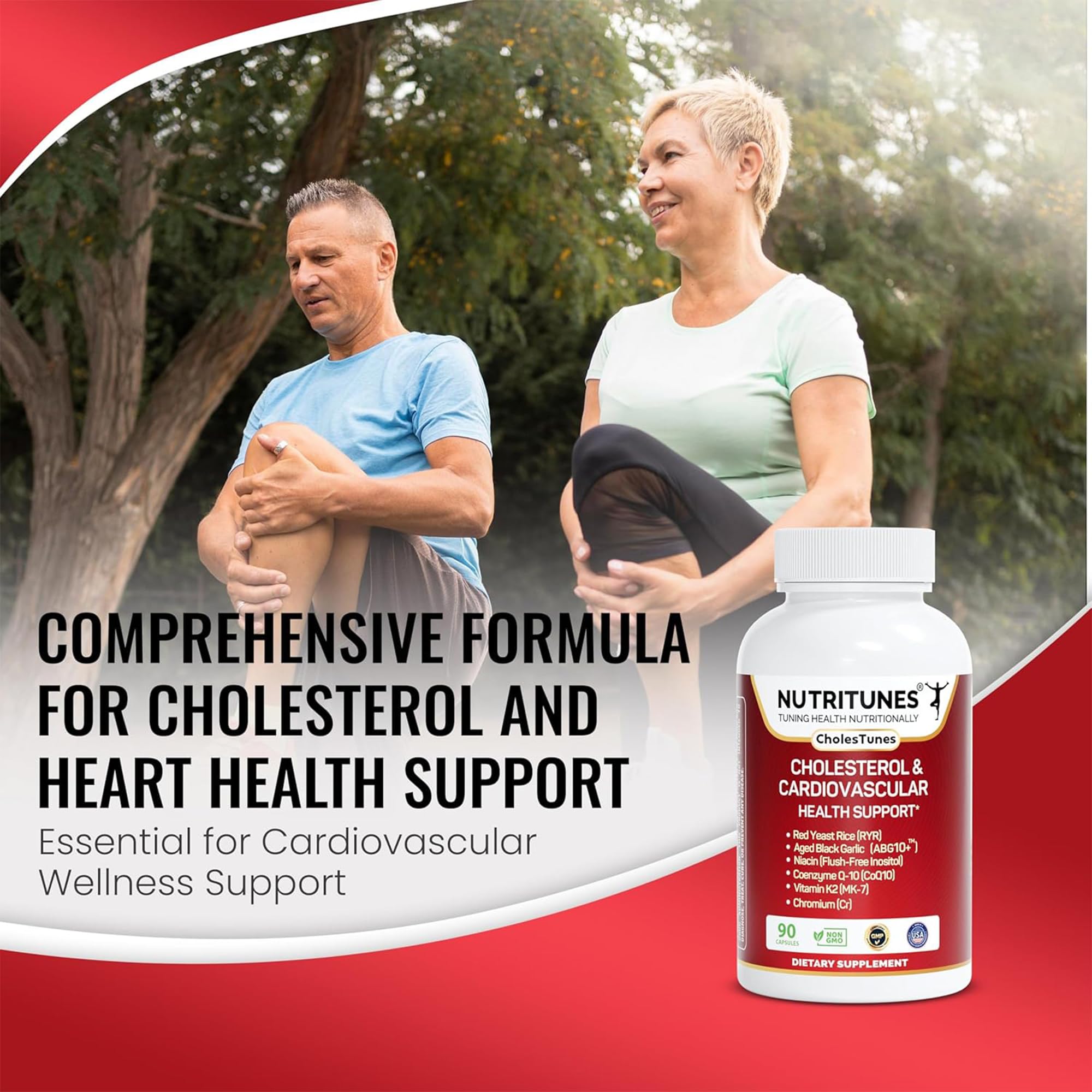 cholesterol management with probiotics