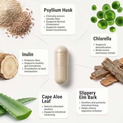 cholesterol supplement for daily wellness