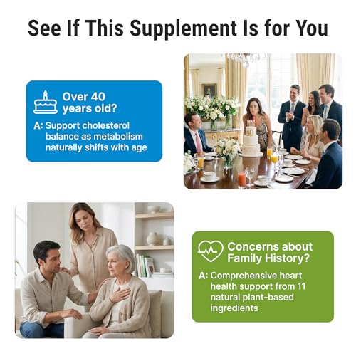 cholesterol supplement to boost energy levels