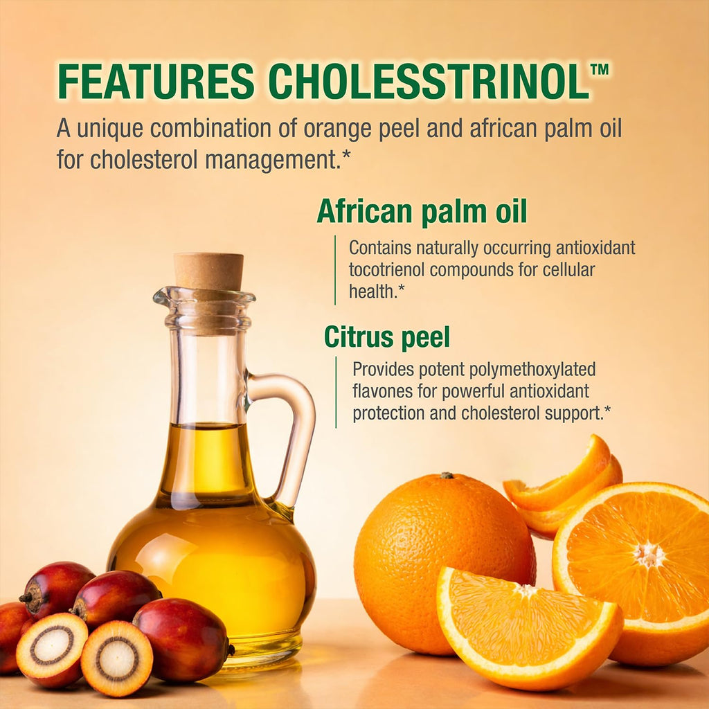 cholesterol support for healthy lifestyle