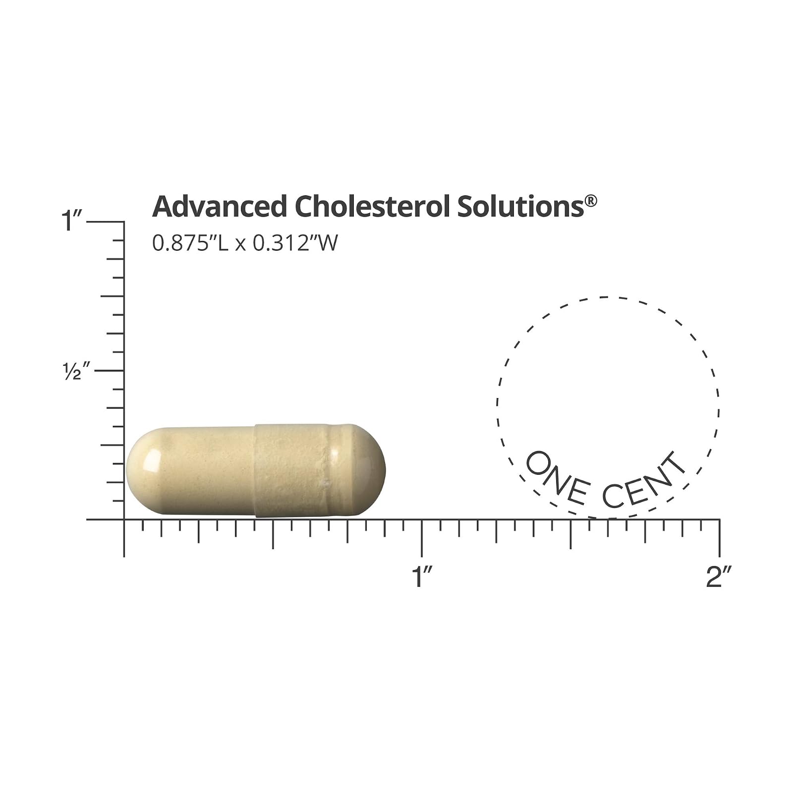 cholesterol support multivitamin capsules