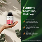 cholesterol support sunflower lecithin supplement