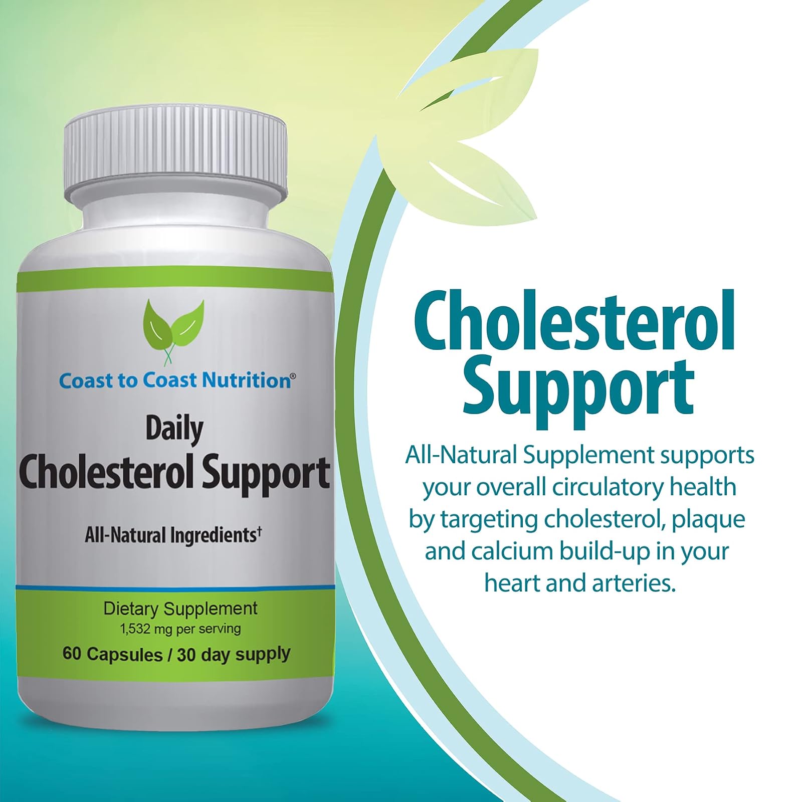 cholesterol support supplement for seniors