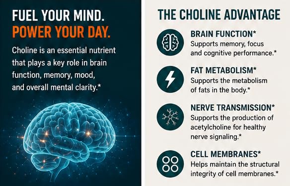 Choline Bitartrate 90 capsules for daily wellness