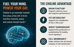 Choline Bitartrate 90 capsules for daily wellness