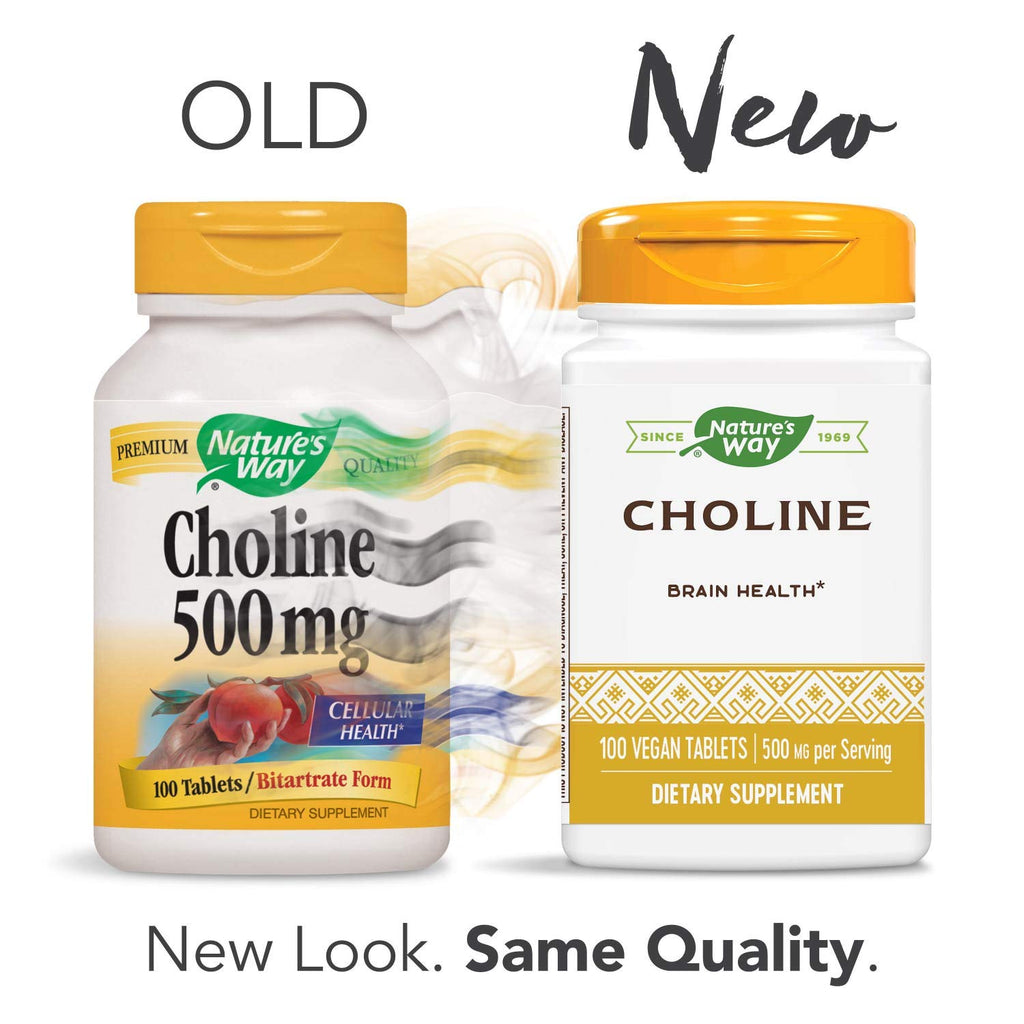 Choline for cognitive health support