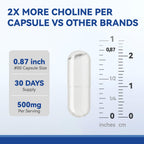 choline for healthy pregnancy outcomes