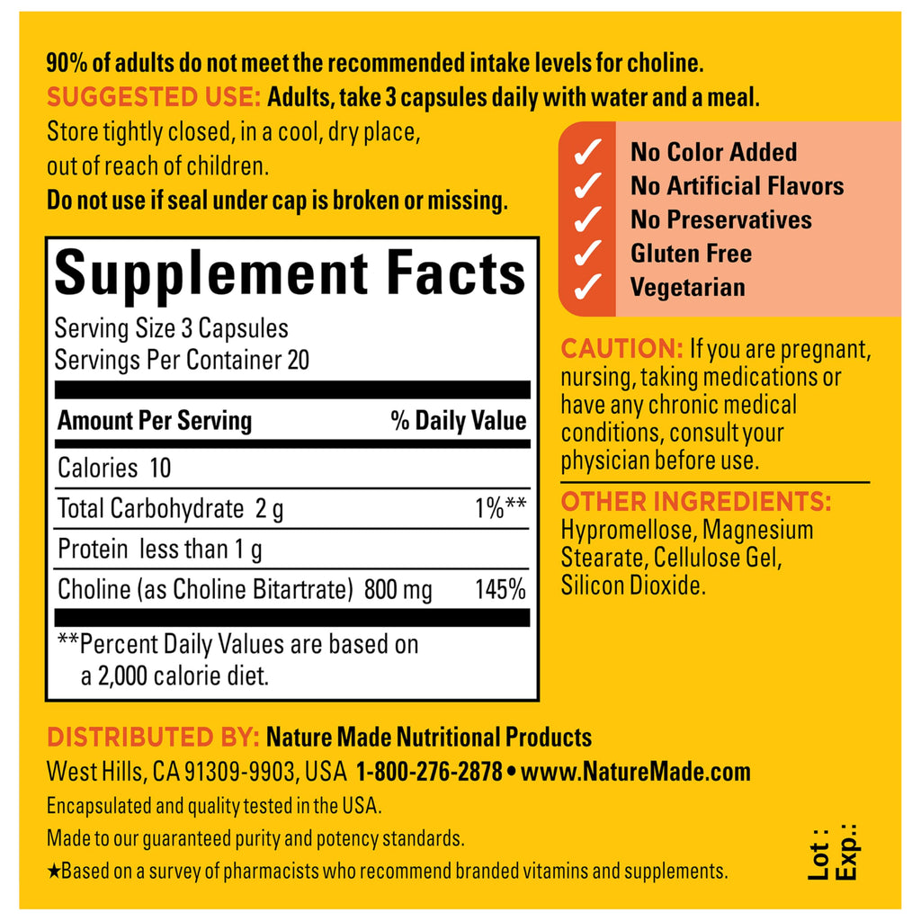choline for muscle recovery and support