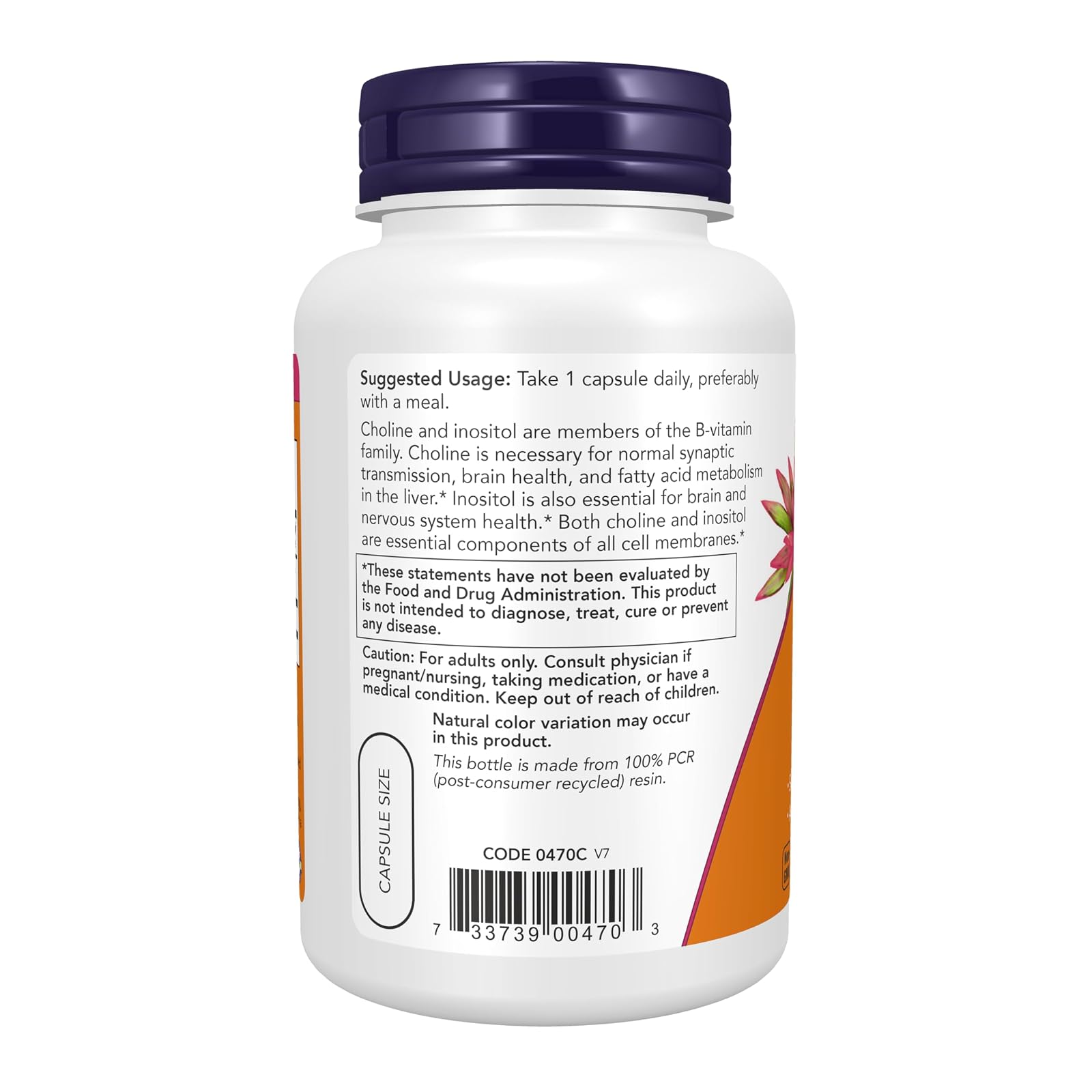 Choline & Inositol for mood support