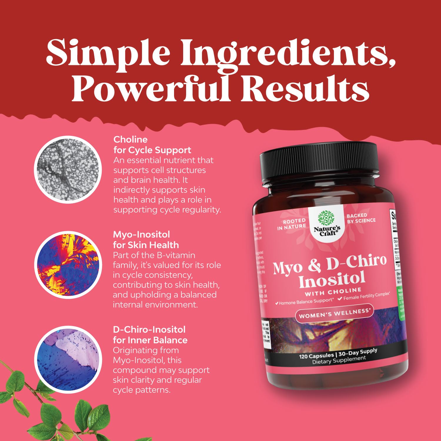 Choline supplement for brain health