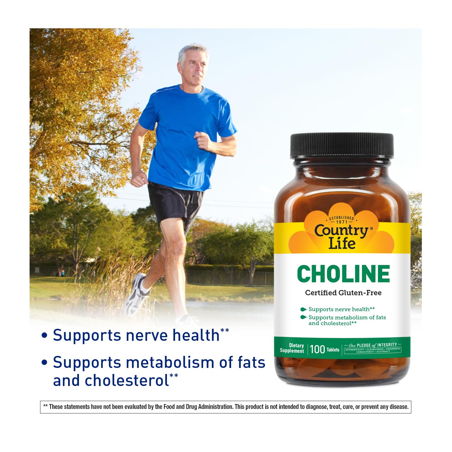 Choline supplement for brain support