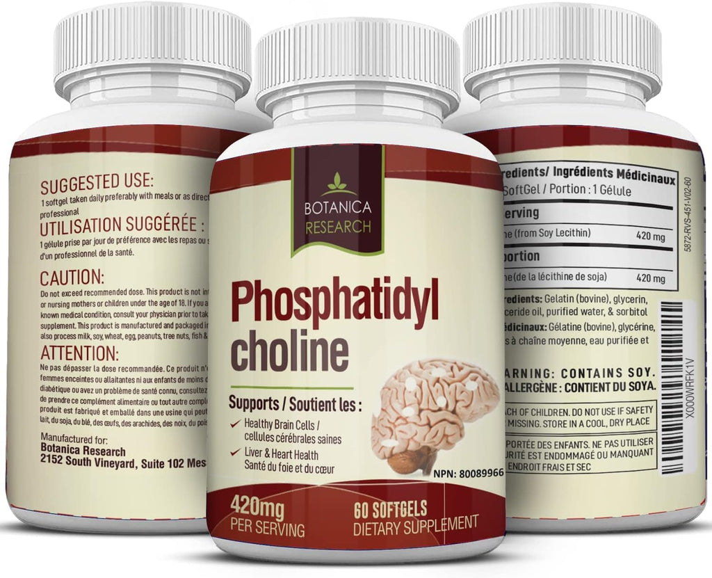 Choline supplement for cognitive support