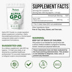 Choline supplement for cognitive support
