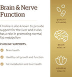 Choline supplement for liver support