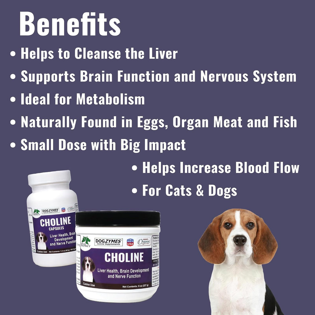 Choline supplement for liver support