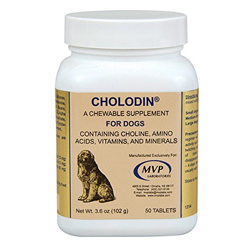 Cholodin Choline Tablets for brain health