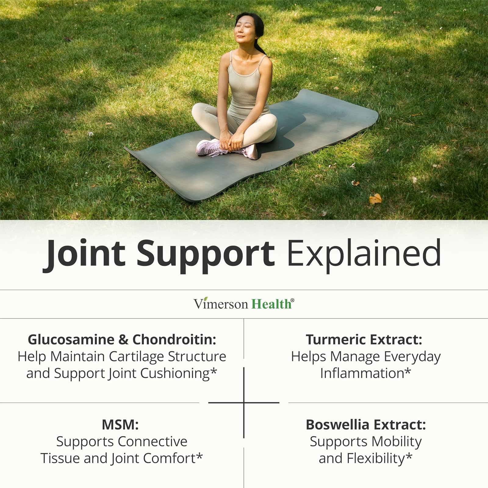 chondroitin and msm for joint health
