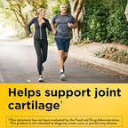 chondroitin complex for joint health
