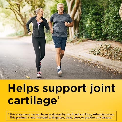 chondroitin complex for joint health