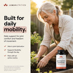 chondroitin for cartilage support