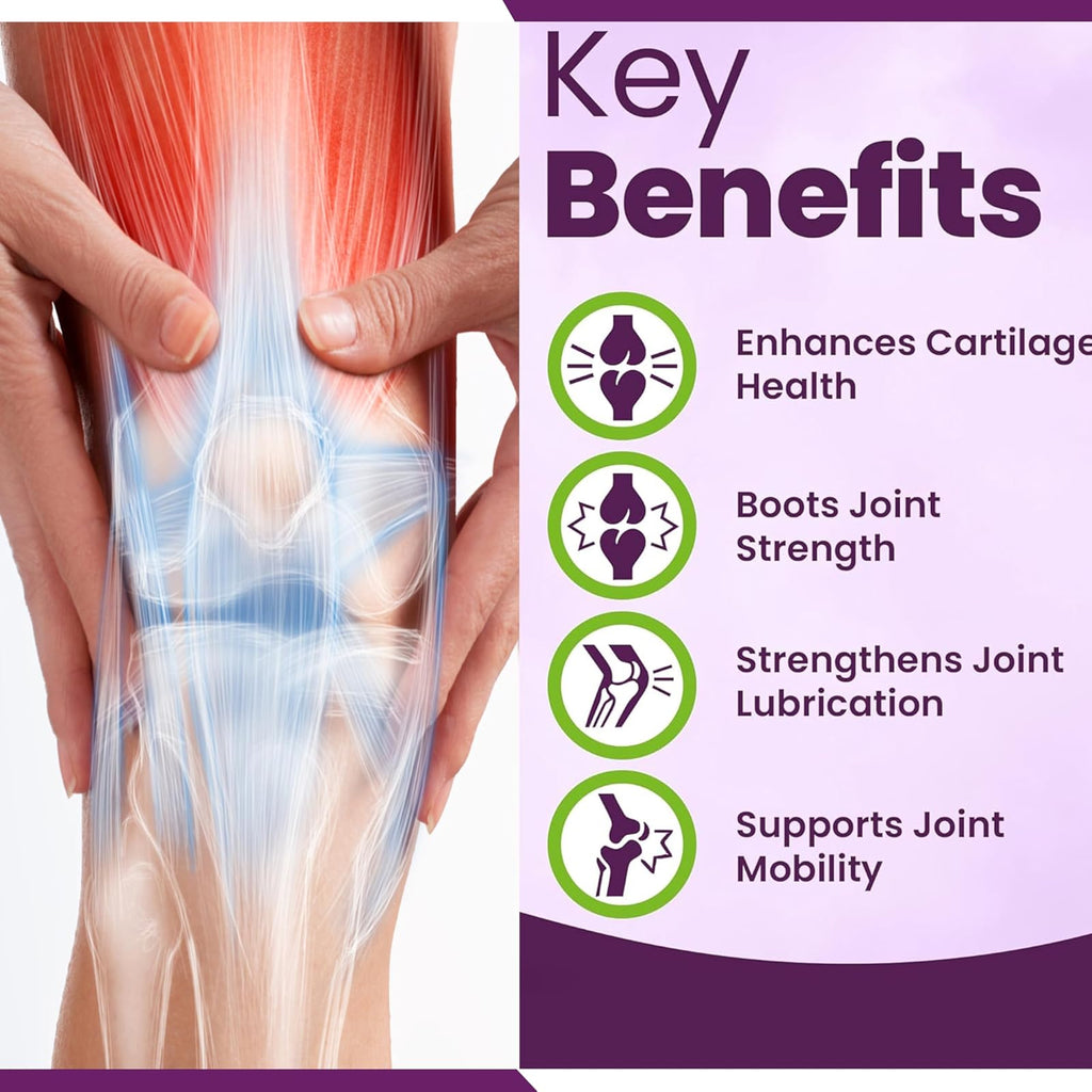 chondroitin MSM for healthy joints