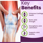 chondroitin MSM for healthy joints