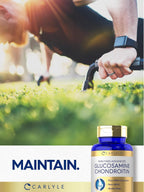chondroitin MSM for improved flexibility