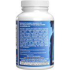 chondroitin supplement for joint health