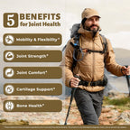 chondroitin supplement for joint health