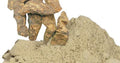 Chopchini powder for daily nutrition