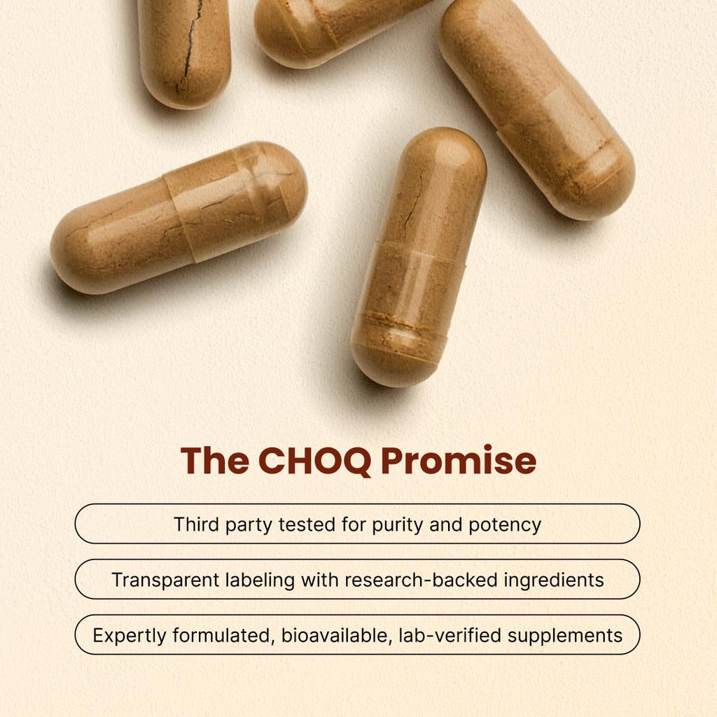 CHOQ multivitamin for men daily health