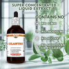 cilantro extract for immune support