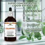 Cilantro glycerite for digestive health