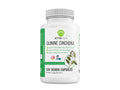 Cinchona Bark Extract for digestion