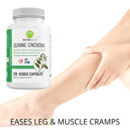 Cinchona Bark Extract for digestive health