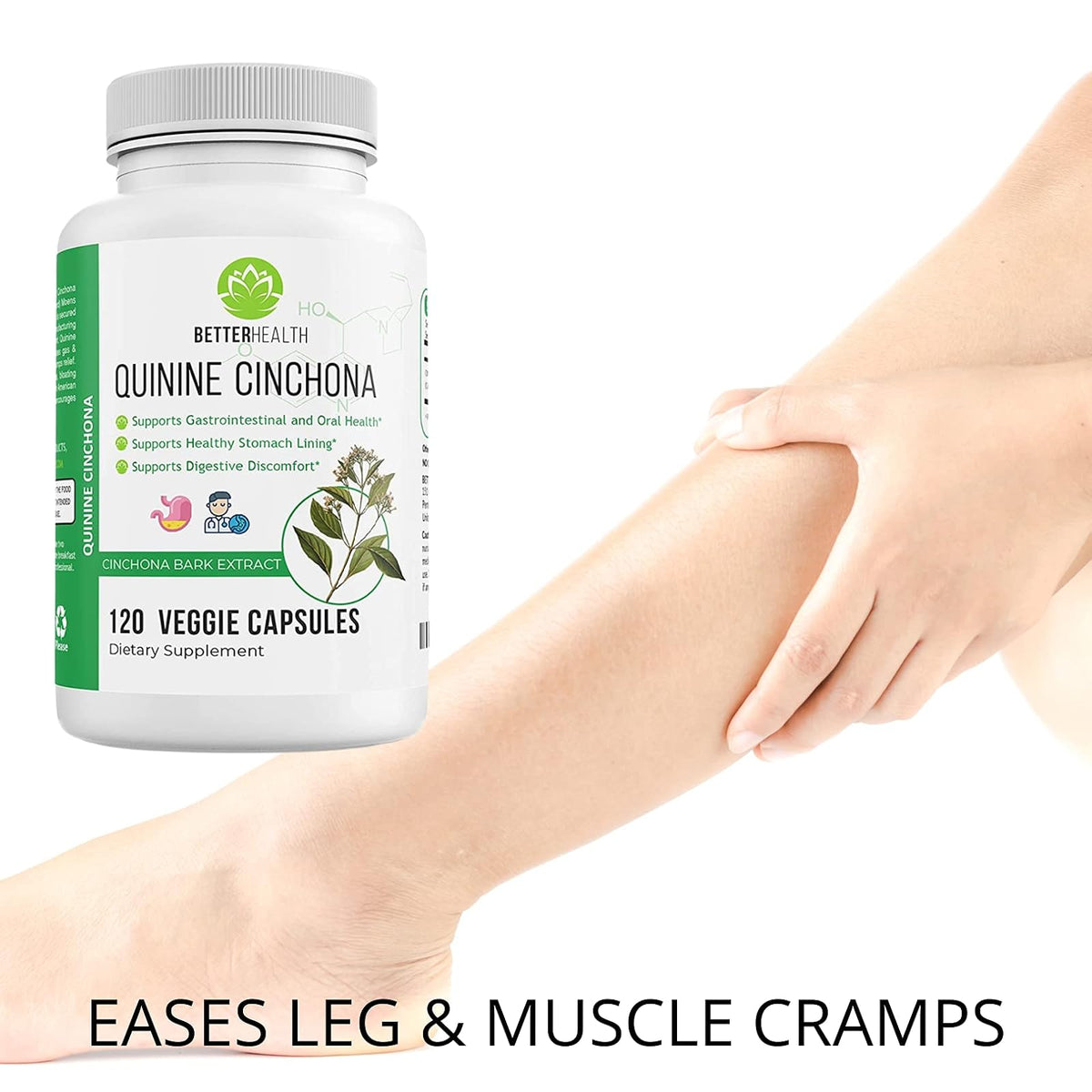 Cinchona Bark Extract for digestive health