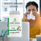 Cinchona extract for immune support